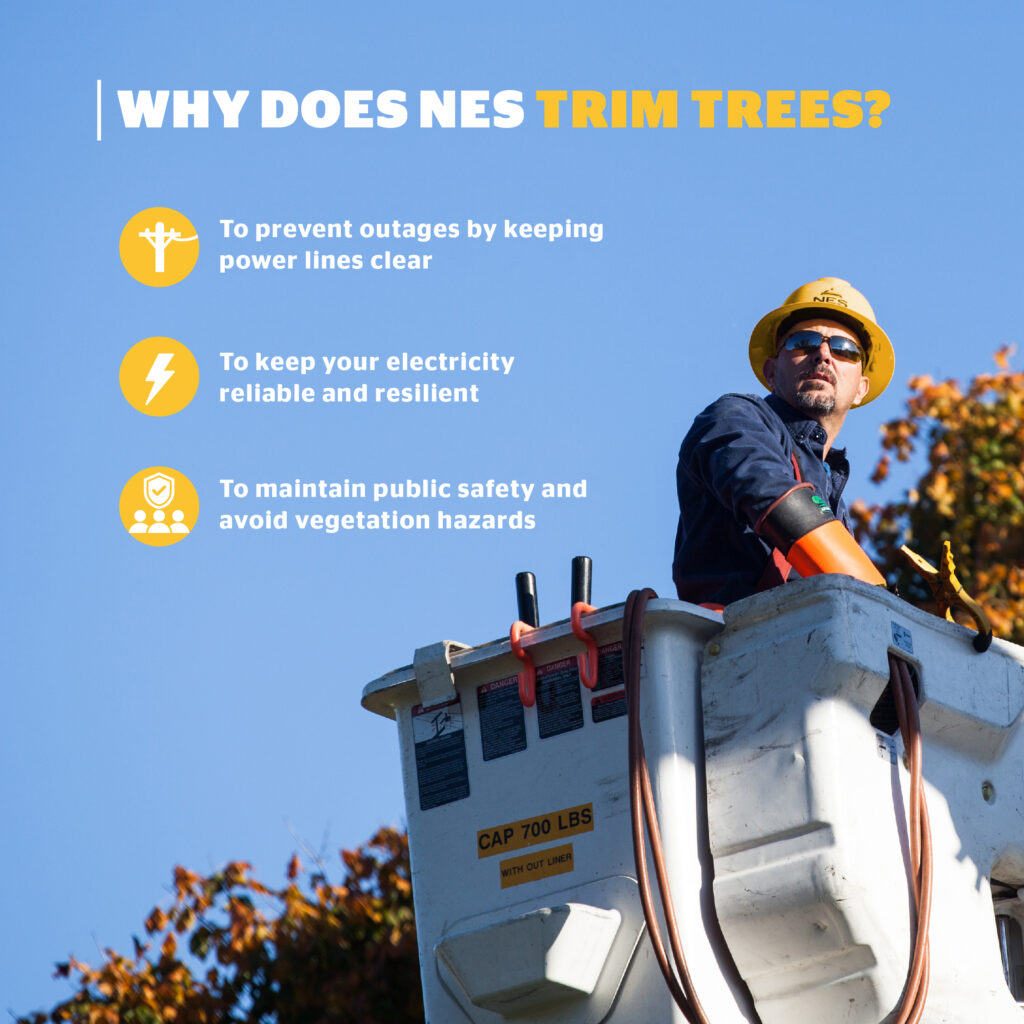 NES Trims Trees to Keep Nashville Safe and Powered - Nashville Electric ...